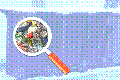 Les poubelles de votre quartier à la loupe : on vous aide à améliorer ...
